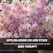Column Stock Appleblossom Seeds – Heirloom Flower, Fragrant Blooms ...