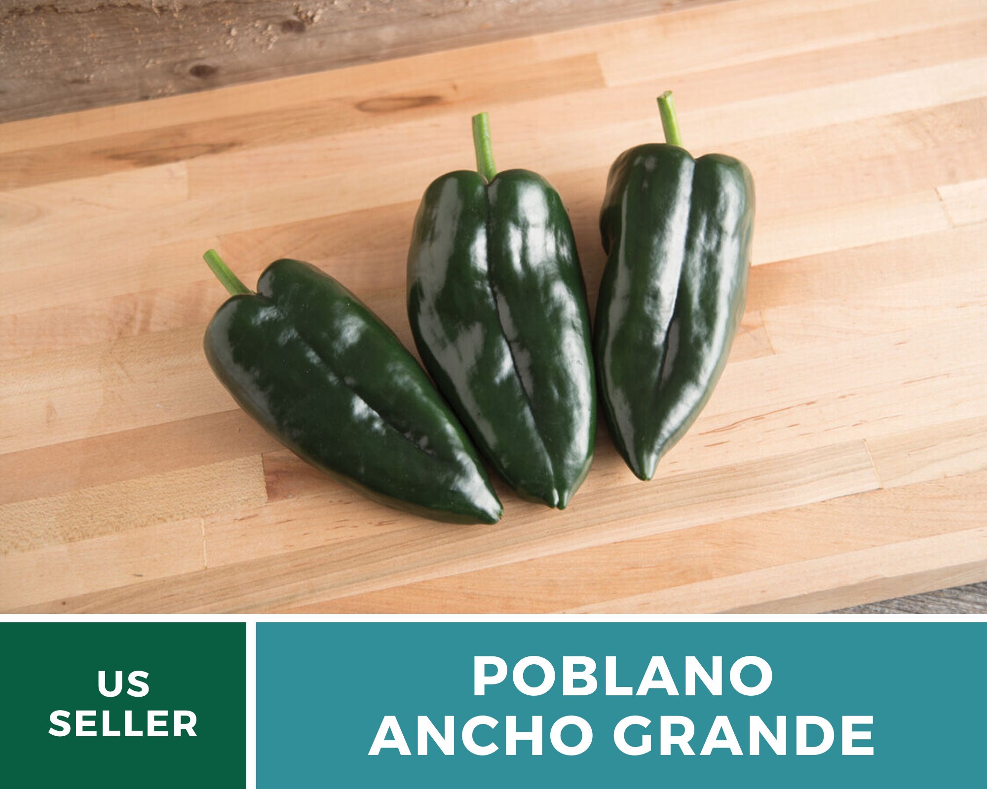 Pepper Poblano Ancho Grande 25 Seeds Easy to Grow - Etsy