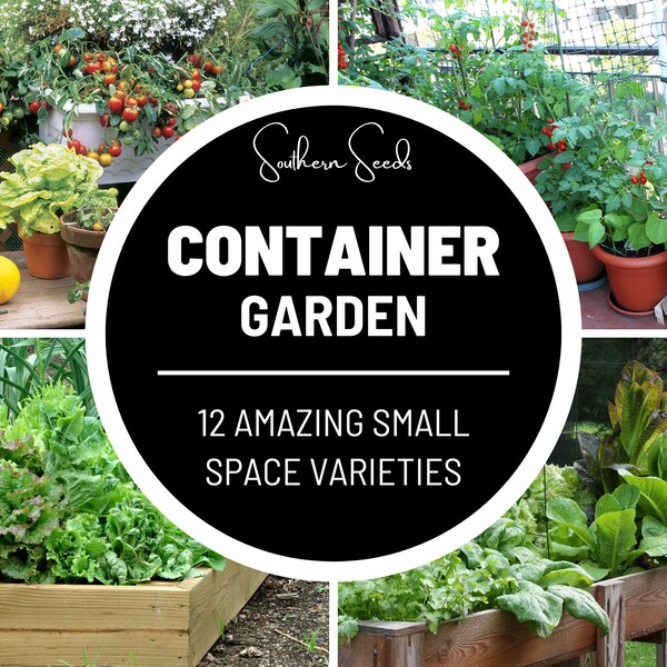 Container Garden - Etsy