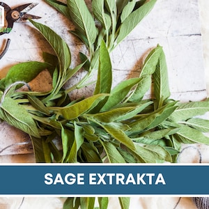 Extrakta Sage Seeds – Heirloom Herb, Highest Essential Oil Content ...