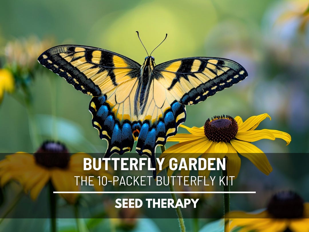 Butterfly Garden Seed Collection – 10 Heirloom Flower Varieties ...