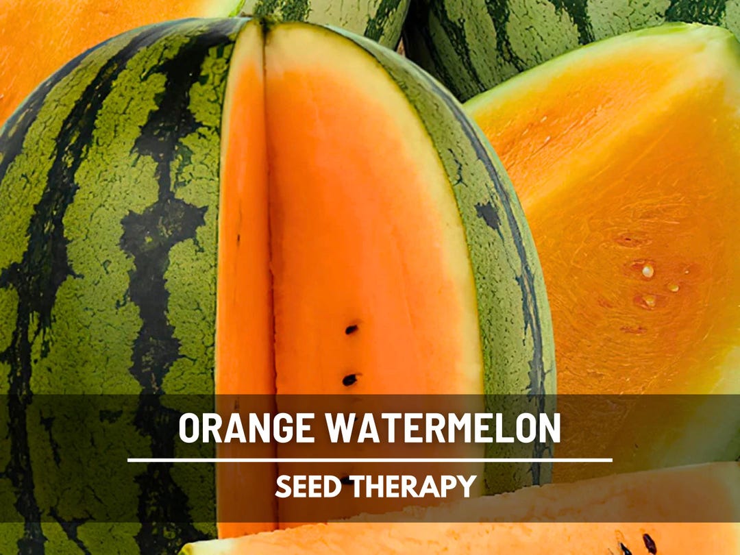 Tendersweet Orange Watermelon Seeds – Heirloom Fruit, Allsweet, Sweet ...