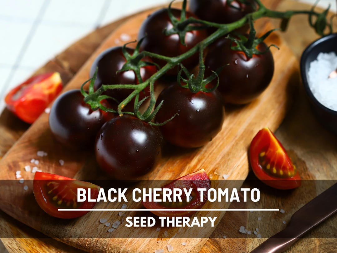 Black Cherry Tomato Seeds – Heirloom, Sweet Rich Flavor, Indeterminate ...