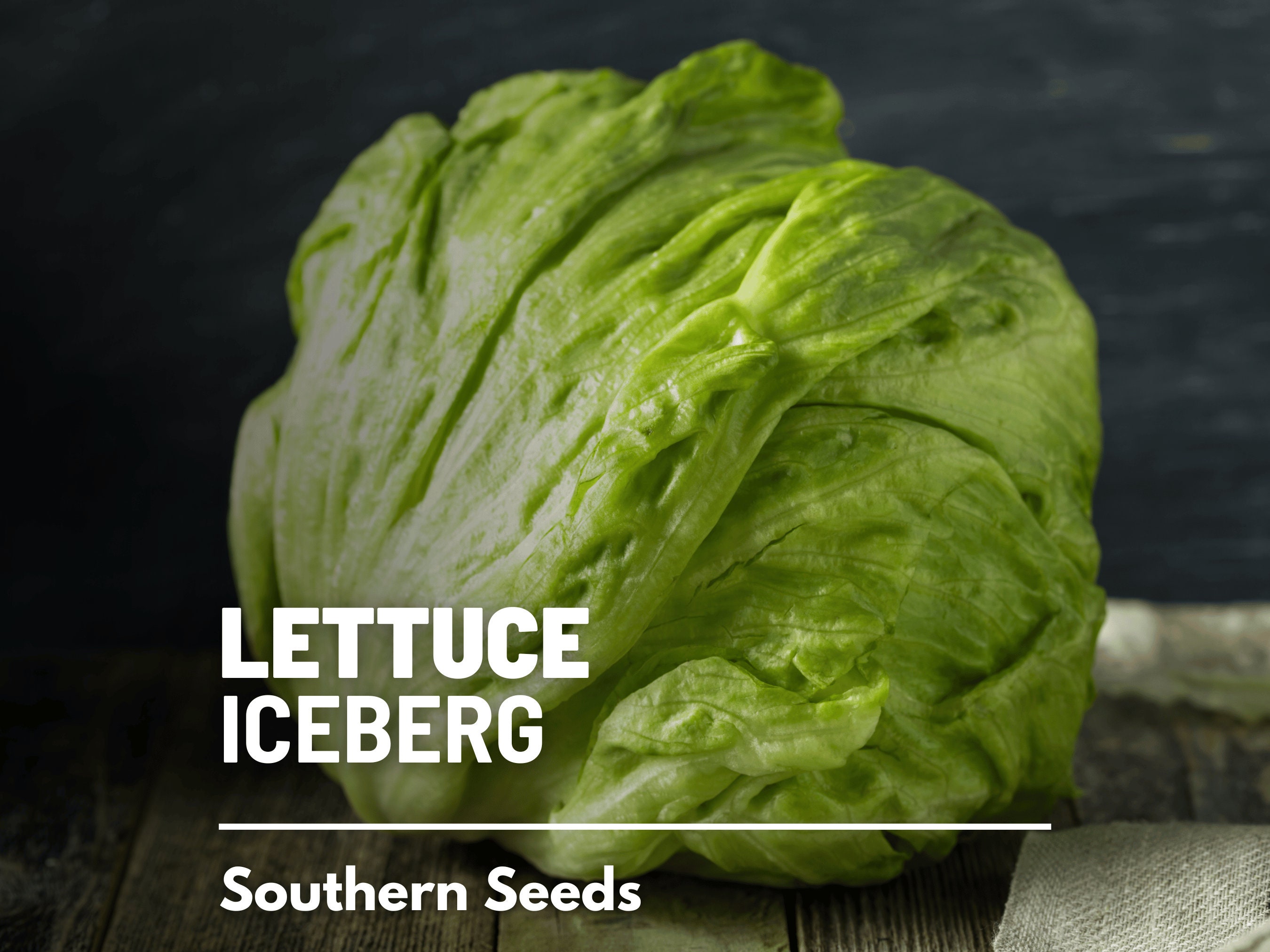 Dessin De Laitue Iceberg 397 Salade Iceberg Stock Photos, High Res