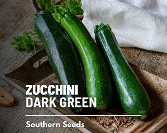 Heirloom Round Zucchini Bush Summer Squash Seeds20 Seeds - Etsy