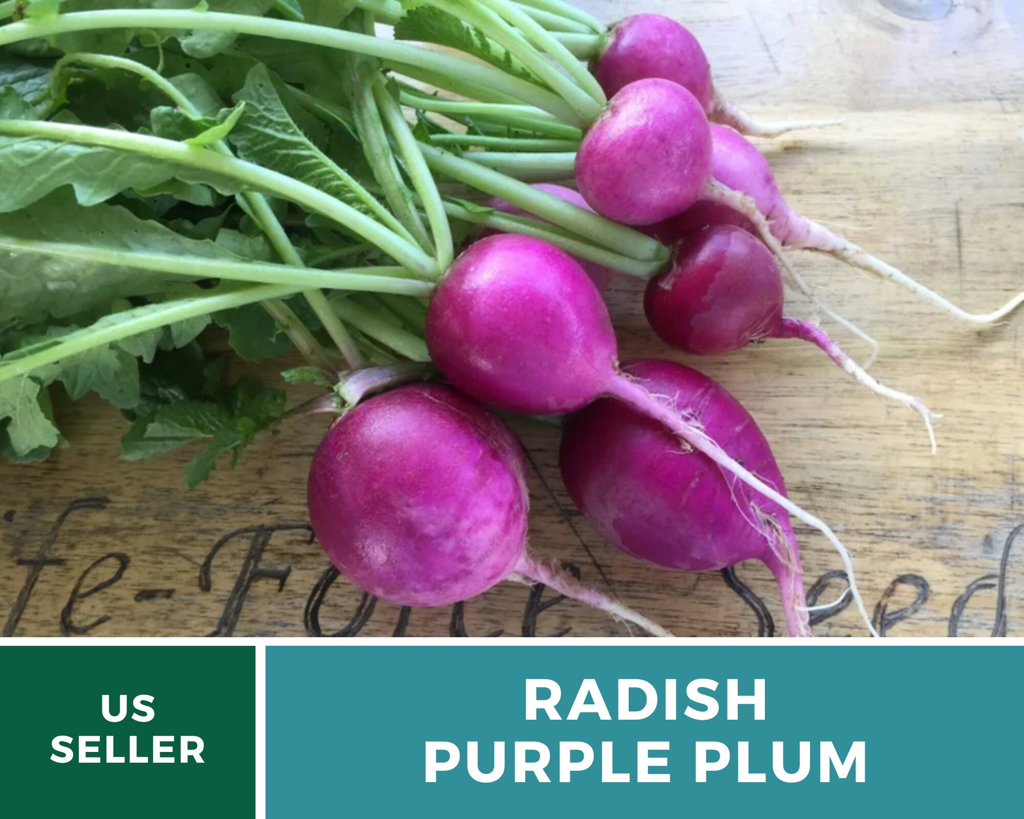 Purple Plum Radish Seeds – Heirloom Vegetable, Non-gmo, Crisp and Mild ...