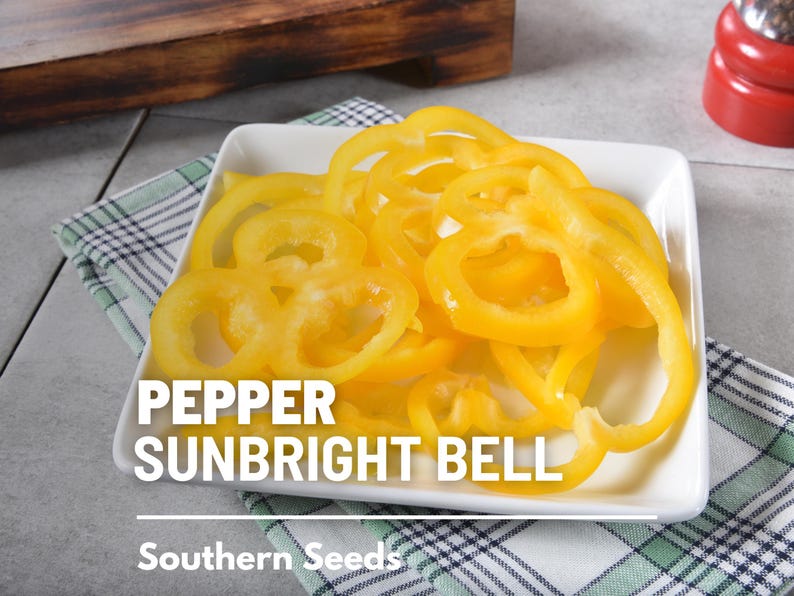 Sunbright Bell Pepper Seeds – Heirloom Yellow Sweet Pepper, Open ...