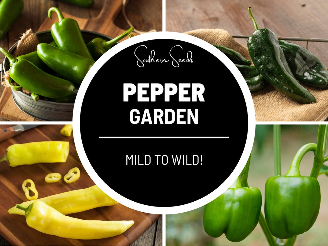 Pepper Seed Collection - 6 Essential Heirloom Peppers - From Mild to ...