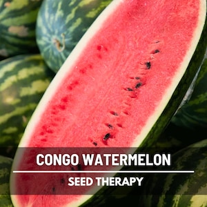 Congo Watermelon Seeds – Heirloom, AAS Winner, Sweetest Watermelon ...