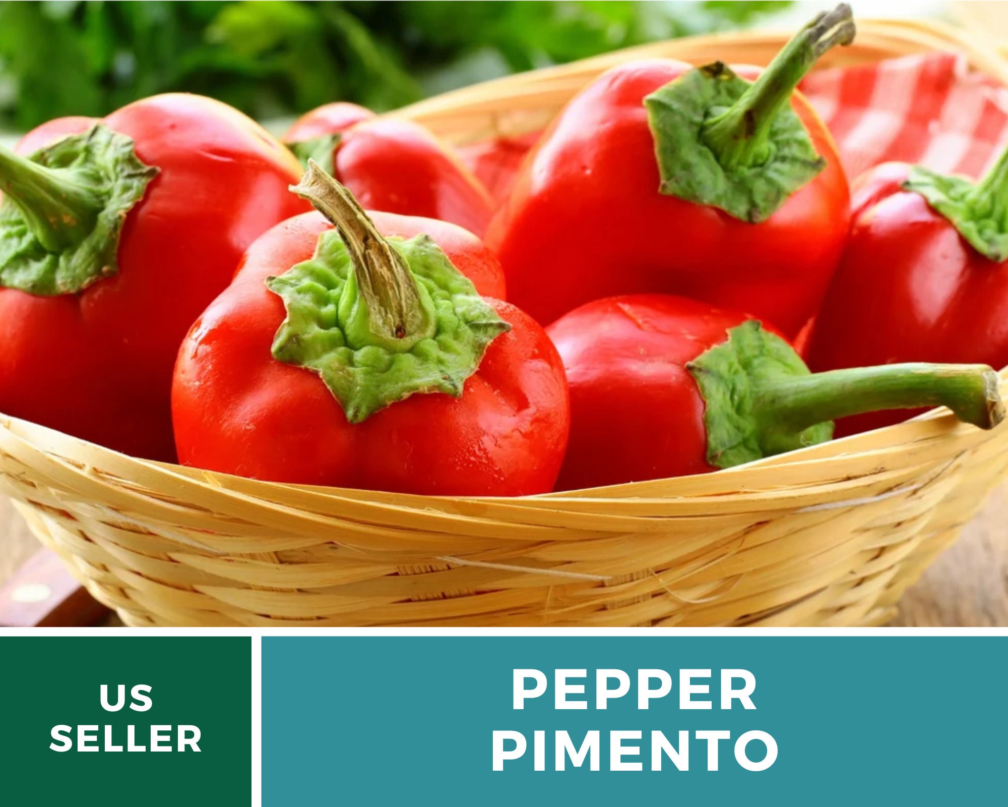 Pimento Sweet Pepper Seeds – Heirloom Sweet Pepper, Red Pimiento ...