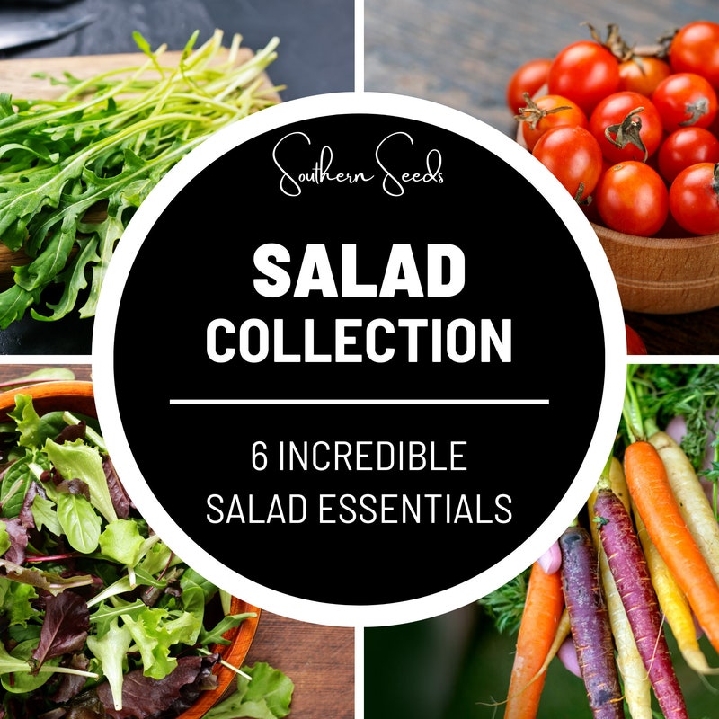 Salad Dressing - Etsy