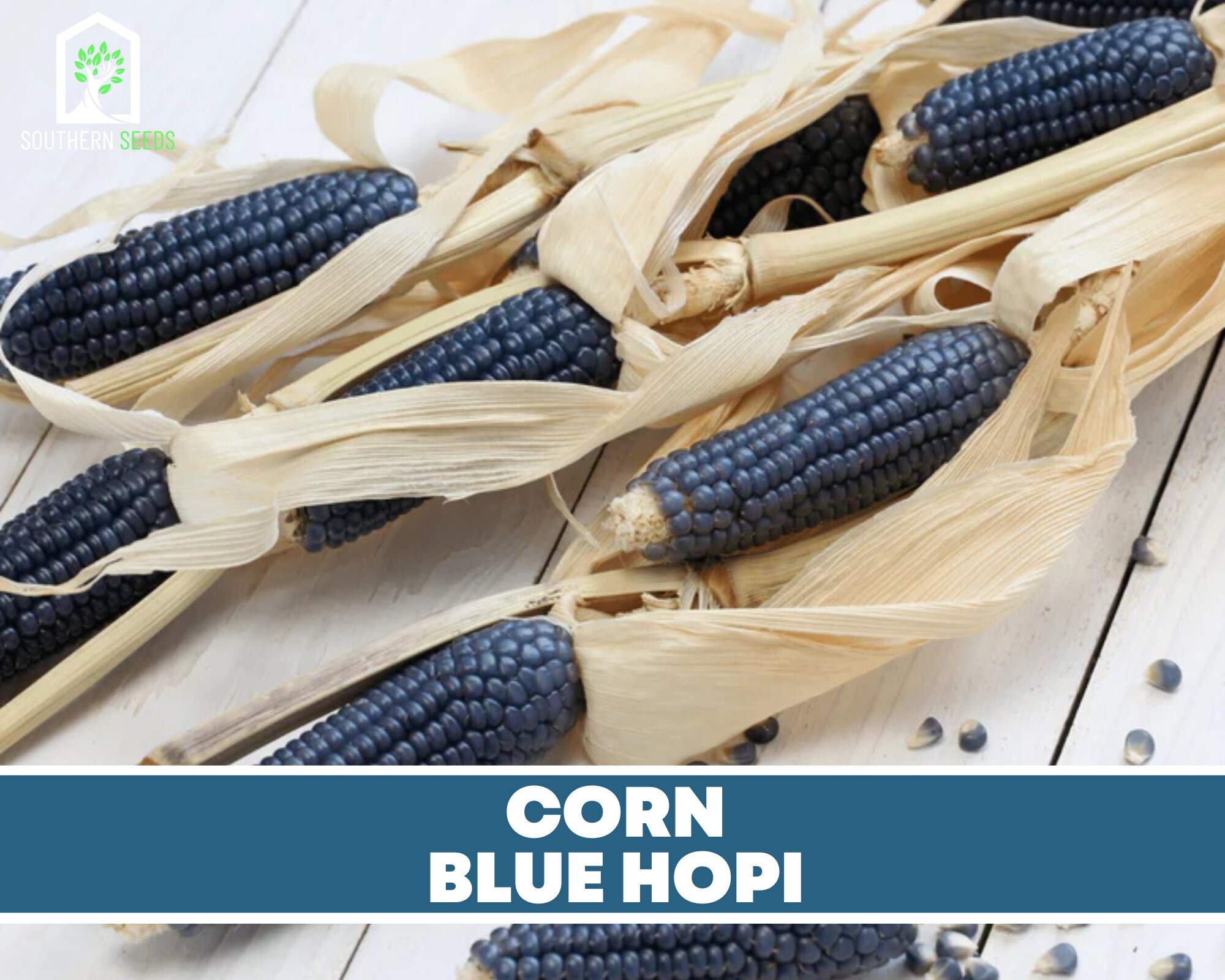 Hopi Food They Eat Coloring Pages