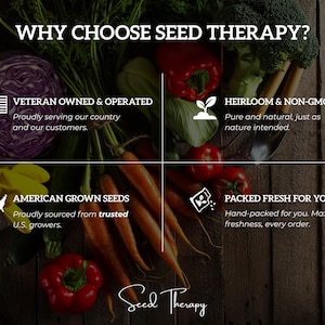 Saltwort Seeds – Heirloom Edible Green, Asian Culinary Herb, Medicinal ...