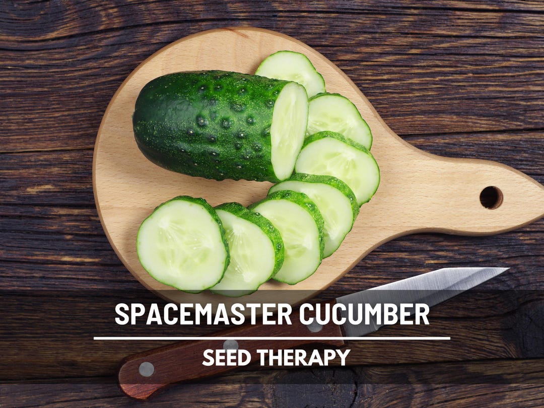 Spacemaster Cucumber Seeds – Heirloom, Open Pollinated & Non-gmo ...
