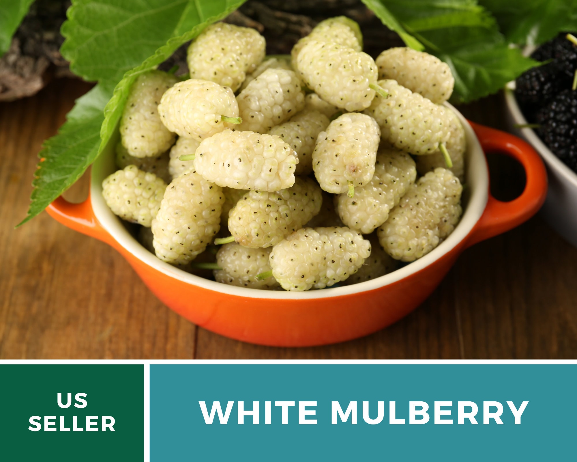 White Mulberry Recipes