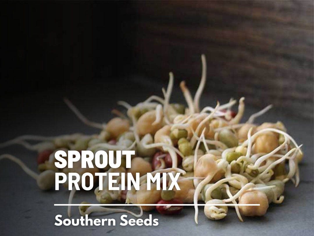 Buy Sprout, Protein Power Mix Heirloom Sprouting Seeds, Organic ...