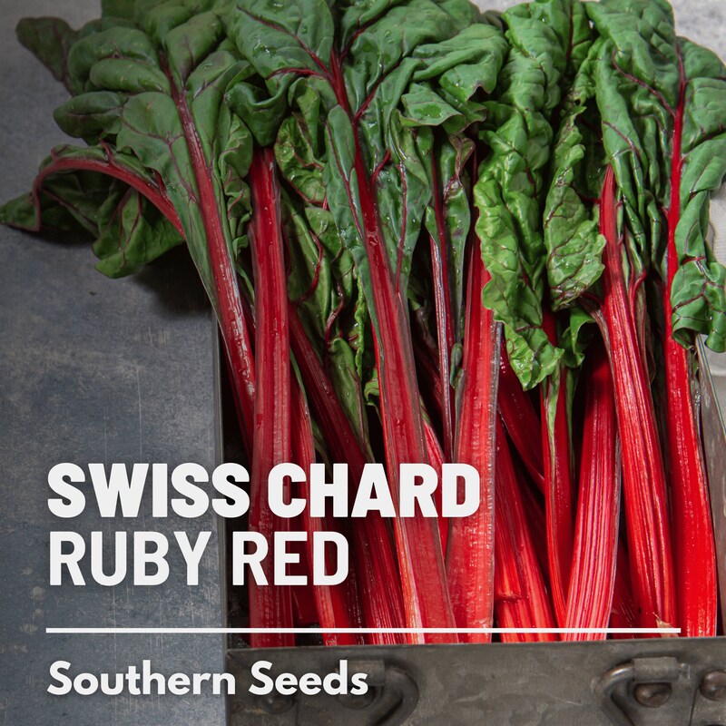 Ruby Red - Etsy