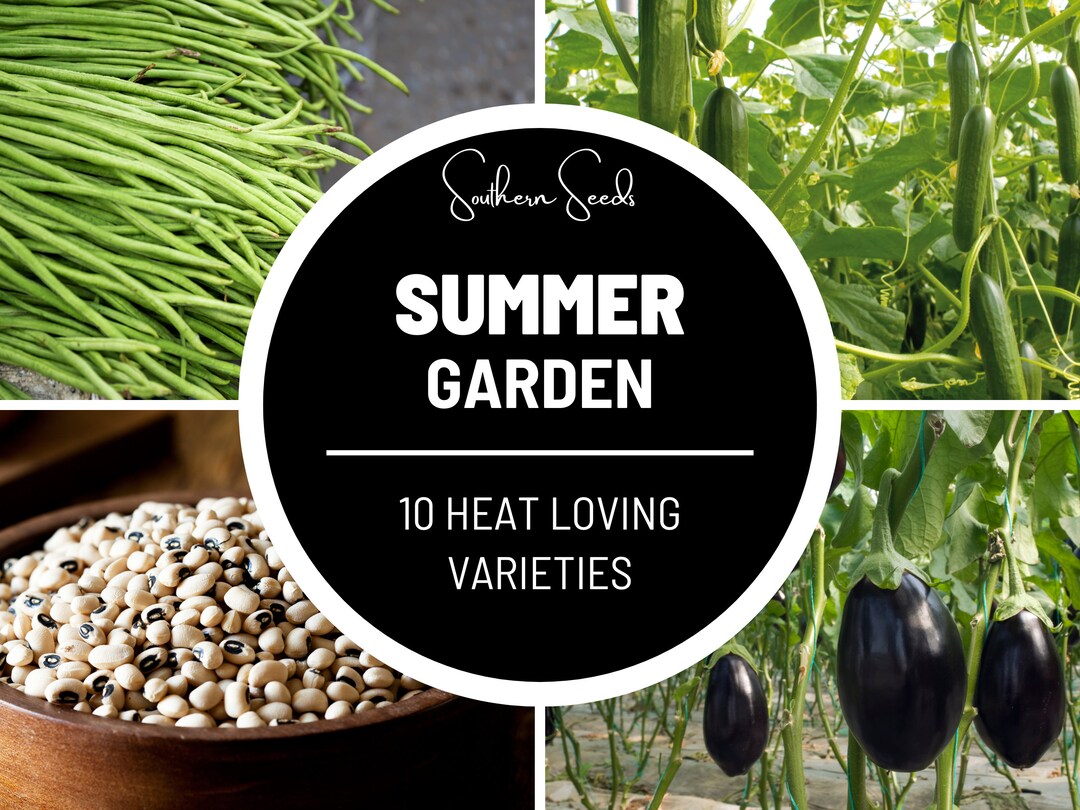 Summer Garden Seed Collection - 10 Heat Loving Varieties - Don't Let ...