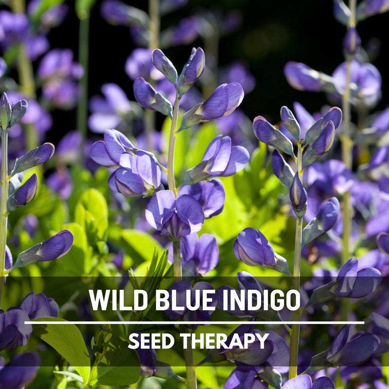 Indigo Blue - Etsy