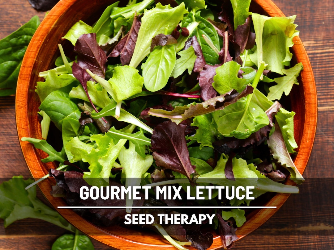 Gourmet Mixed Greens Lettuce Seeds – Heirloom Vegetable, Open ...