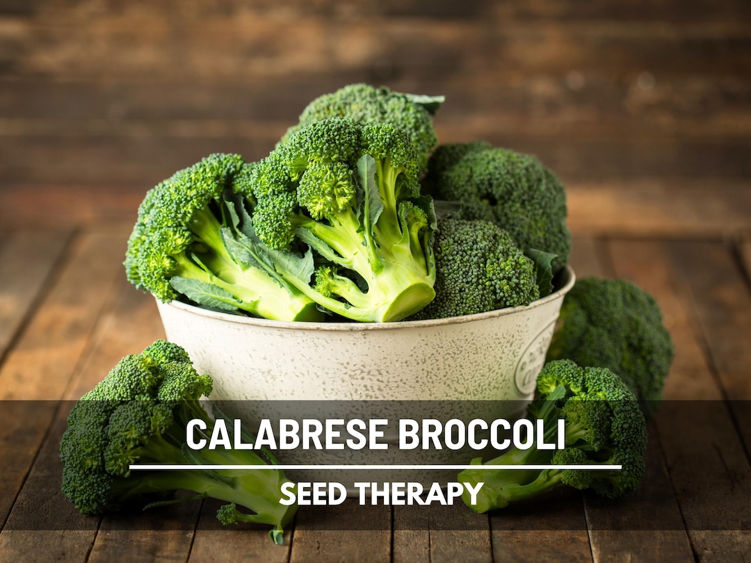 Calabrese Broccoli Seeds – Heirloom, Non‑gmo, Open‑pollinated Vegetable ...
