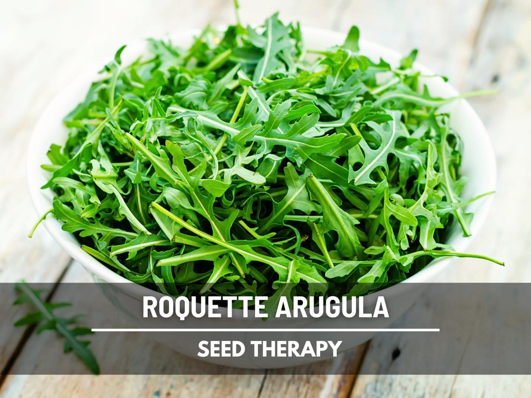 Roquette Arugula Seeds – Heirloom Rocket, Zesty Peppery Bite, Gourmet ...
