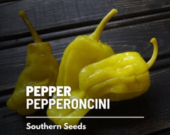 Orange Pepperoncini Peperoncini Italian Pickling Heirloom Pepper ...