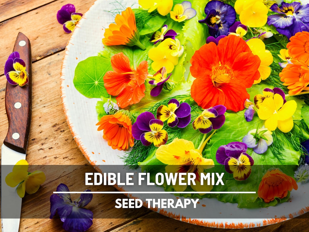 Edible Flower Seed Mix – Assorted Edible Flowers, Culinary Use & Garden ...