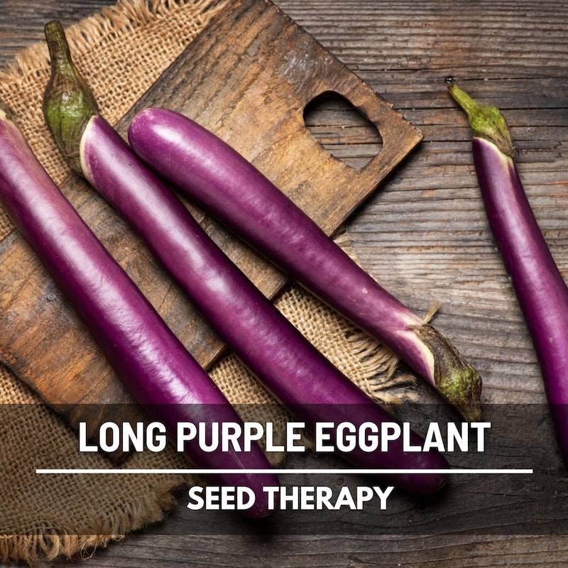 Purple Productive - Etsy