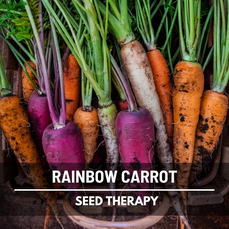 Carrot Garden Craft - Etsy