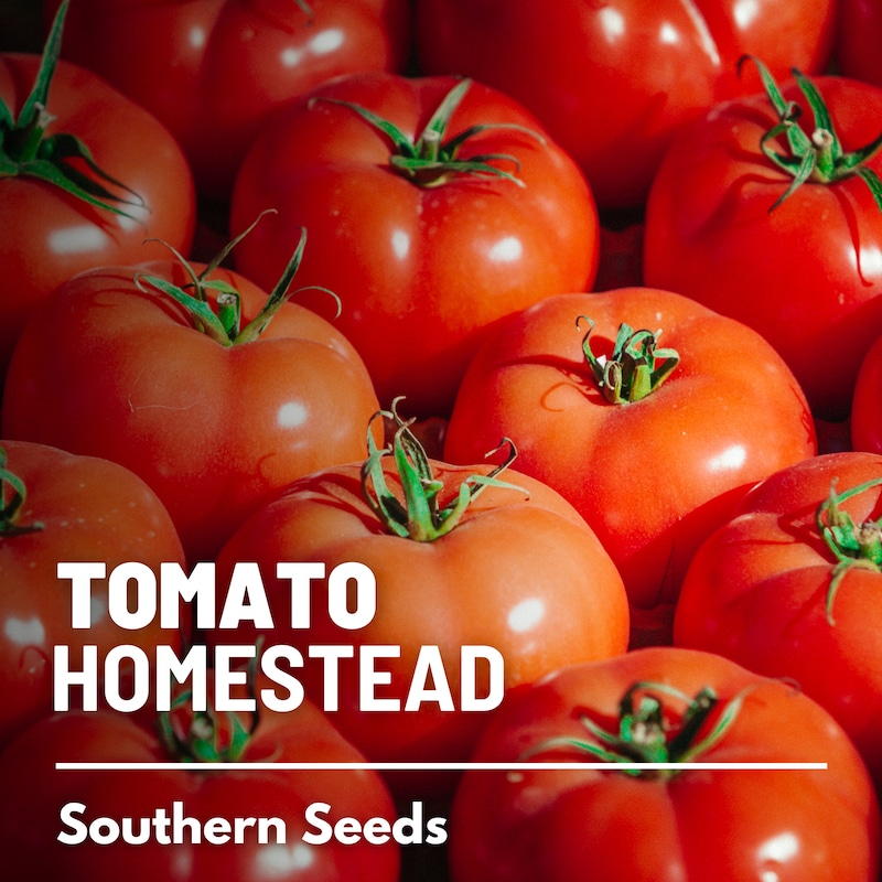 Homesteading - Etsy
