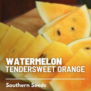 Tendersweet Orange Watermelon Seeds – Heirloom Fruit, Allsweet, Sweet ...