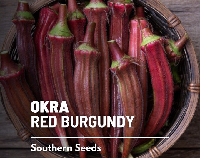 Alabama Red Okra Seeds - Etsy