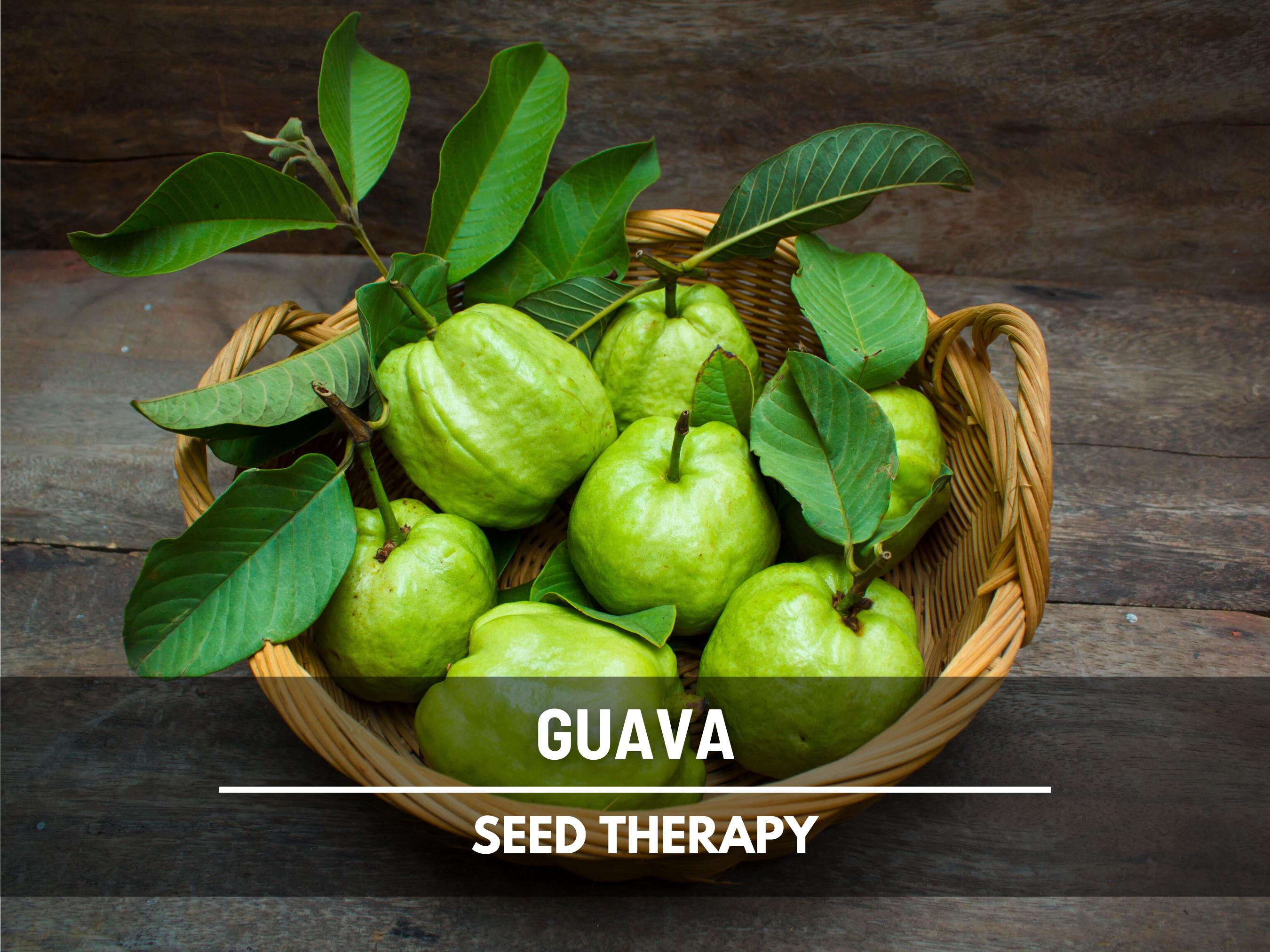 Guava Seeds – Heirloom, Exotic & Sweet Fruit Tree, Evergreen Shrub ...