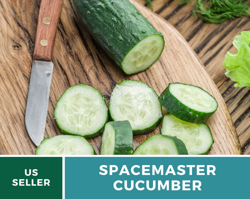 Spacemaster Cucumber Seeds – Heirloom, Open Pollinated & Non-gmo ...