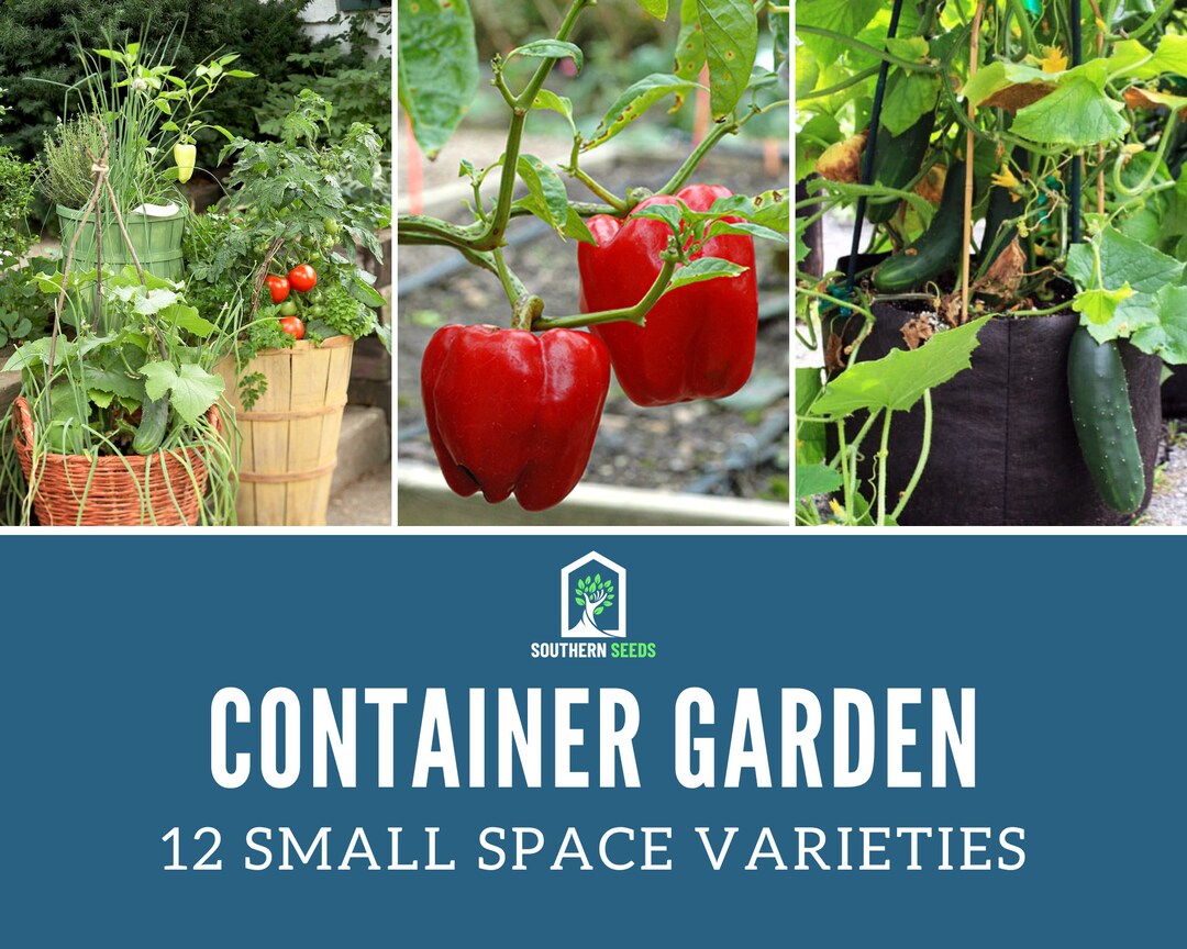 Container Garden Seed Collection 12 Essential Varieties - Etsy