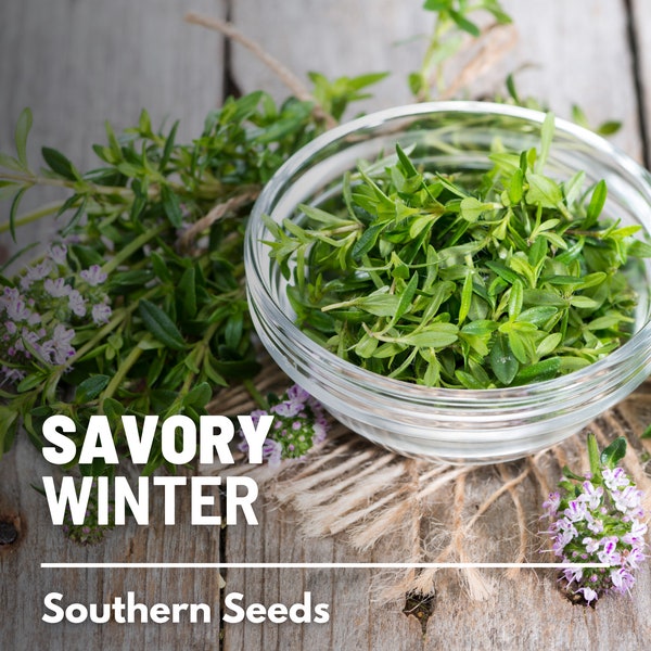 Savory - Etsy
