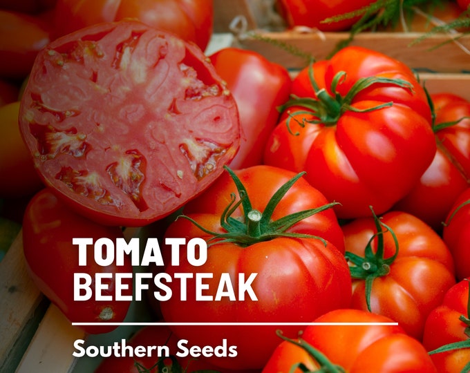 Big Beef Tomato Seeds - Etsy