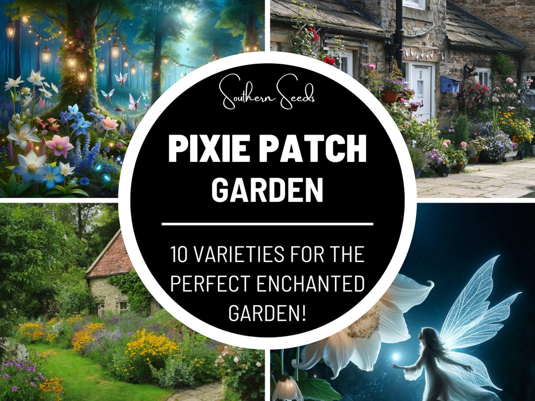 Pixie Patch Seed Collection - 10 Enchanted Seed Varieties, Fairy Garden, Children's Garden ...