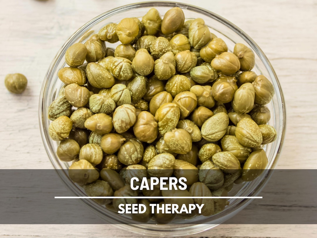 Capers (caper Bush) - 10 Seeds - Heirloom Herb - Culinary Delicacy (capparis Spinosa) - Etsy