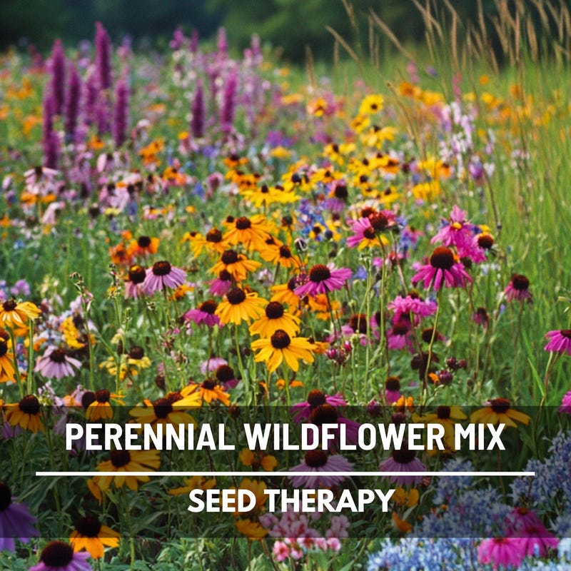 Perennial Seeds - Etsy