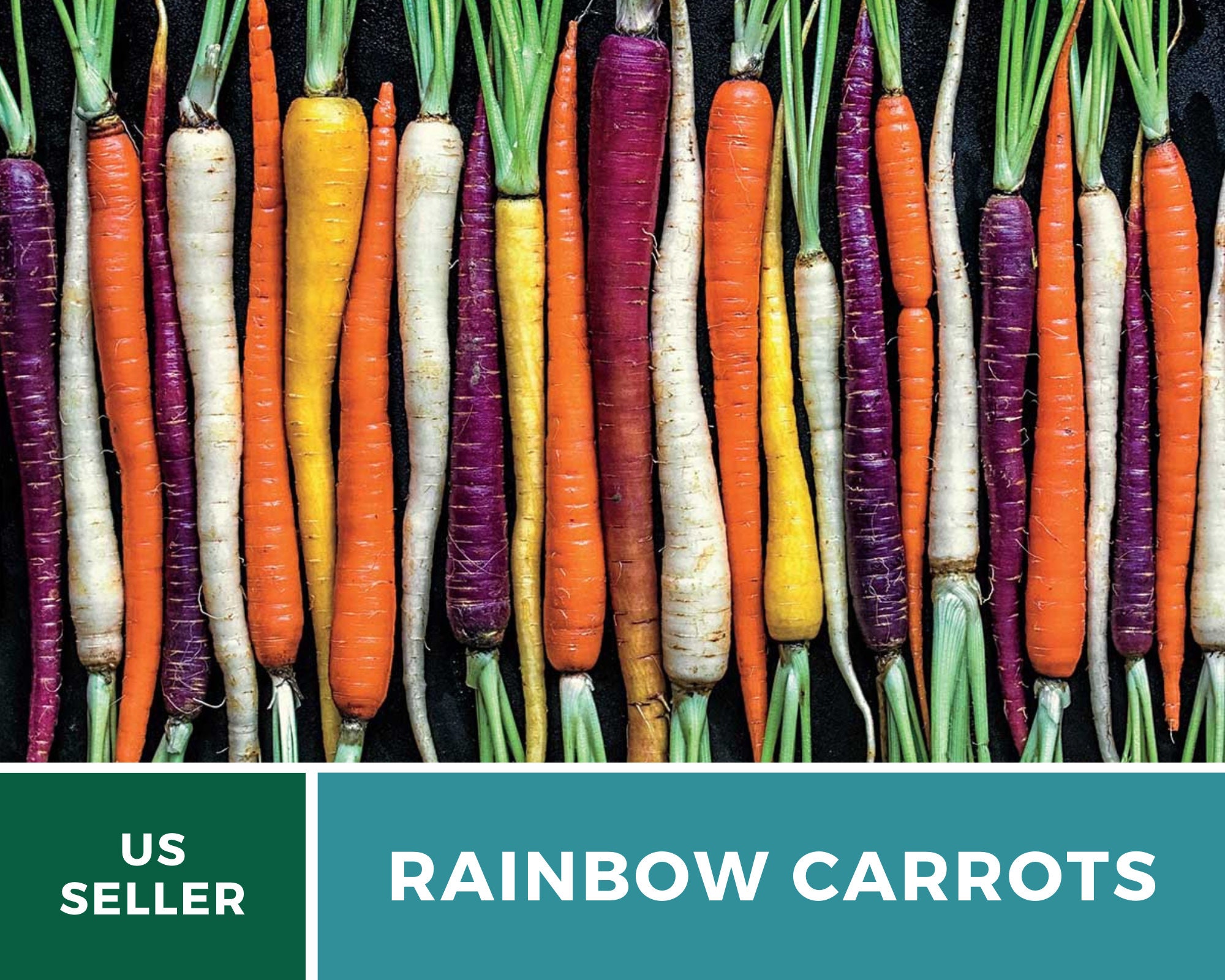 Rainbow Blend Carrot Seeds – Heirloom Colorful Carrots, Open Pollinated ...