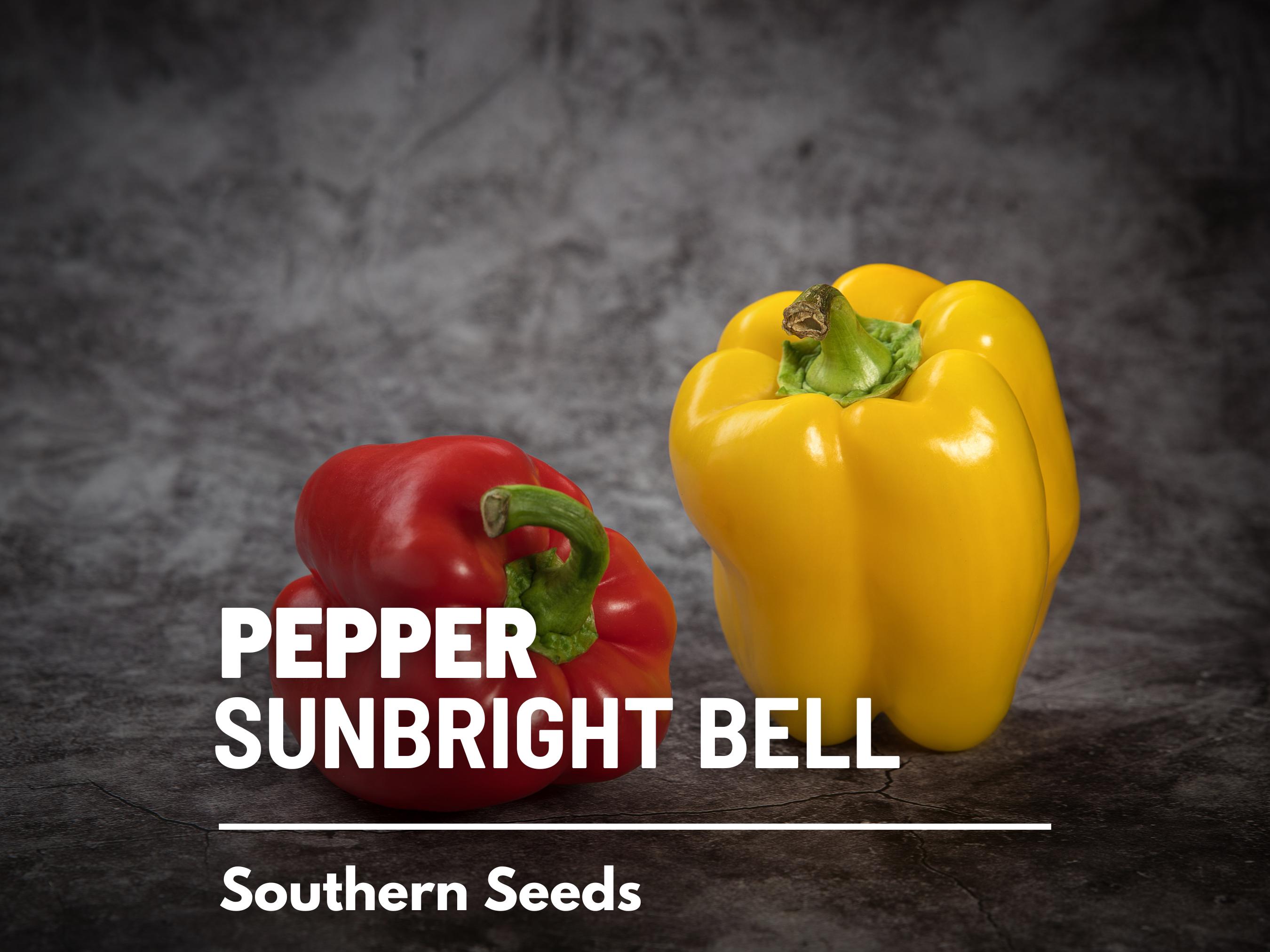 Sunbright Bell Pepper Seeds – Heirloom Yellow Sweet Pepper, Open ...