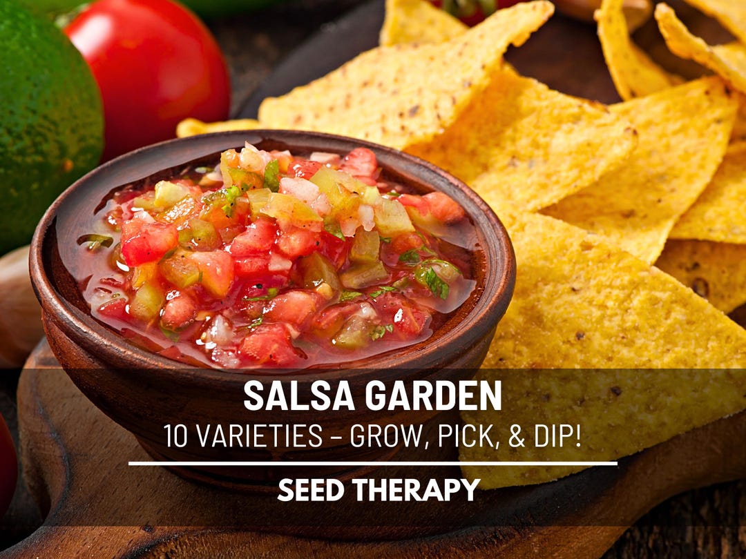 Salsa Seed Collection – 10 Seed Varieties, Restaurant Style, Ideal for ...