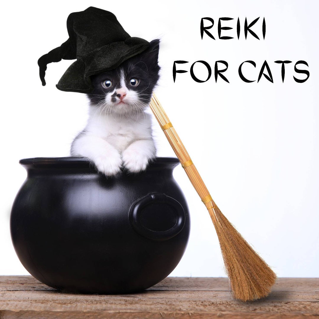 Distant Reiki for Cats, Remote Reiki for Cats - Etsy UK