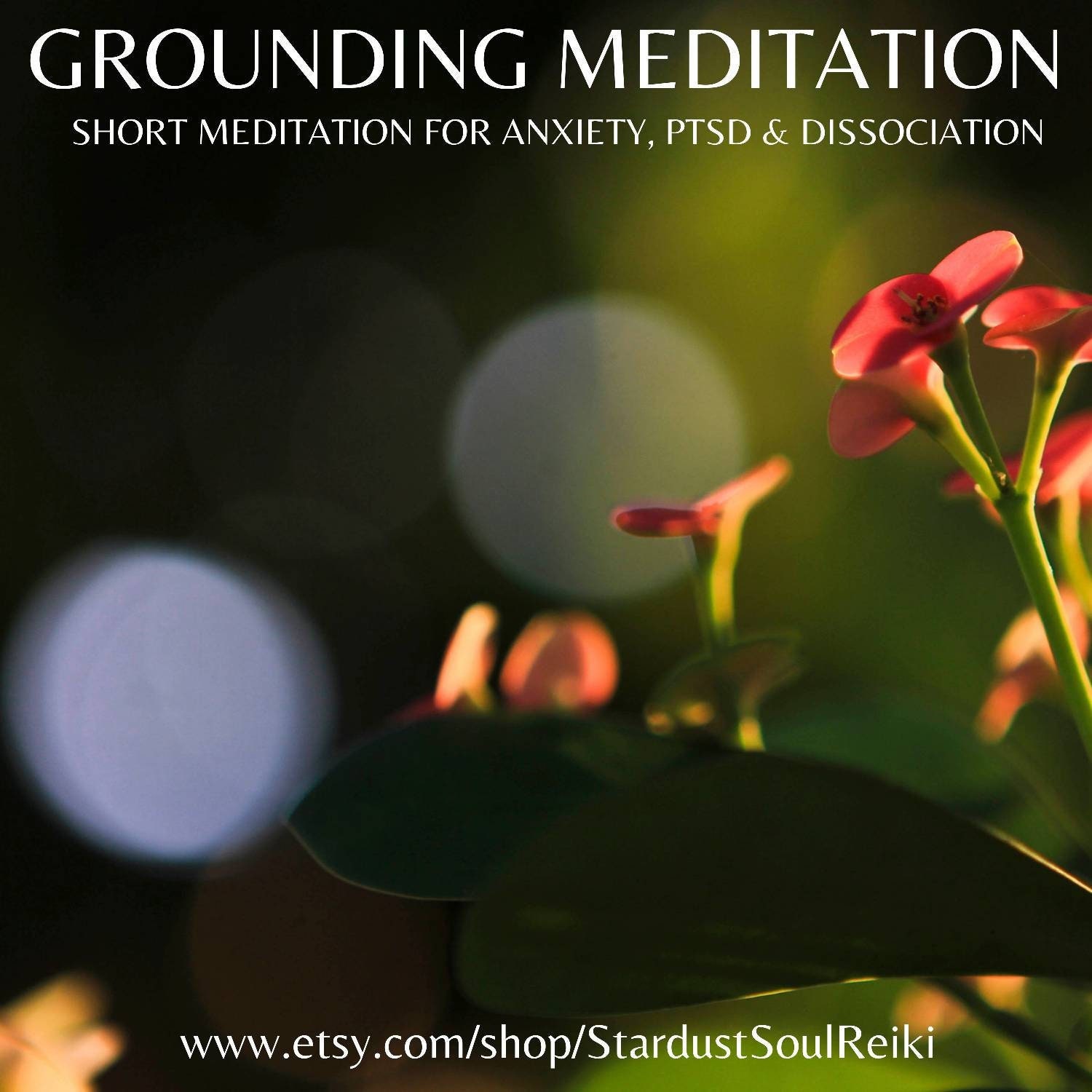 MP3 Grounding Meditation, Anxiety Meditation, - Etsy