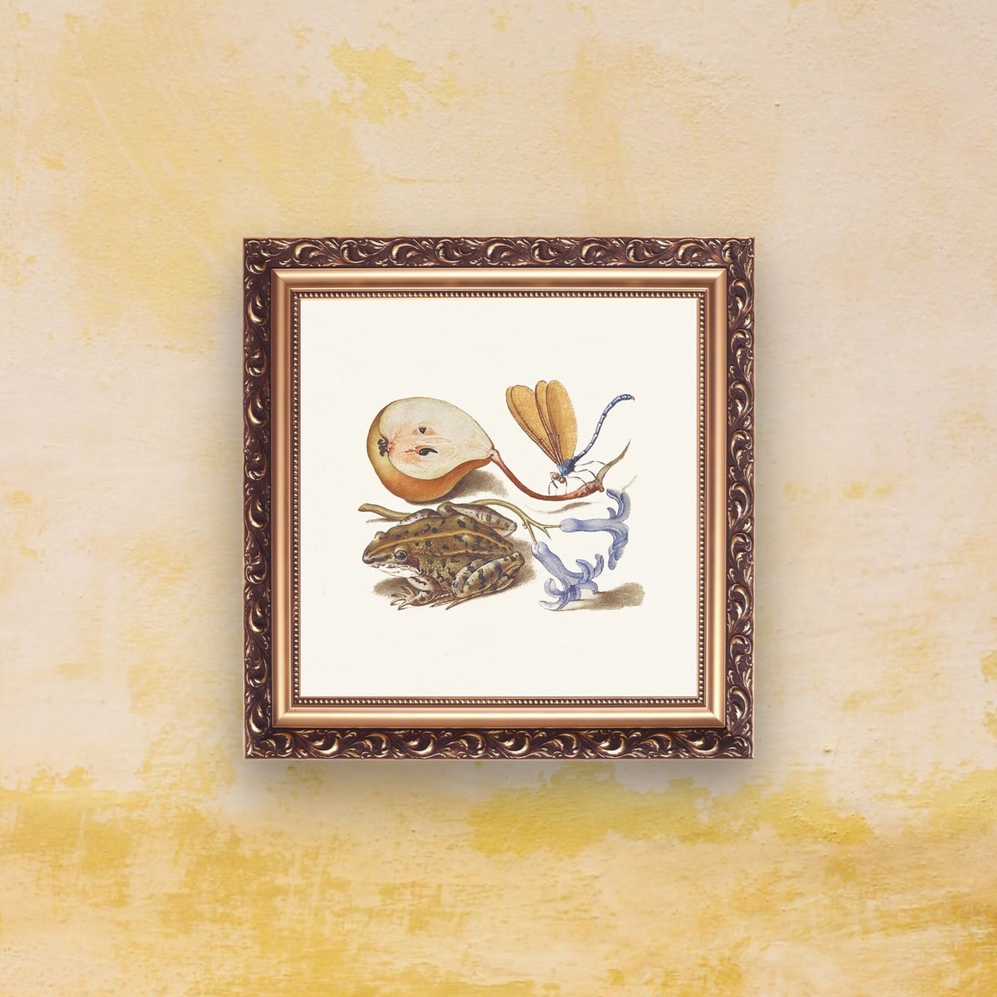 10 Greatest medieval frog painting You Can Save It Without A Penny ...