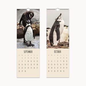 Penguin Wonders Wall Calendar – Adorable Penguin Art, Perfect Calendar ...