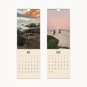 Penguin Wonders Wall Calendar – Adorable Penguin Art, Perfect Calendar ...