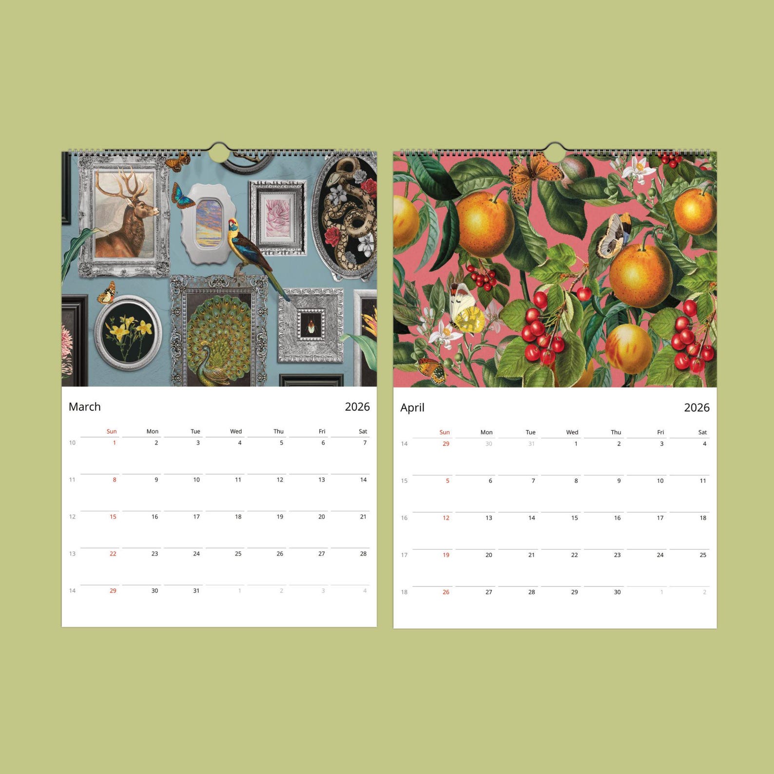 Wildlife Wall Calendar – Nature Habitat, Safari Animals, Semi-glossy ...
